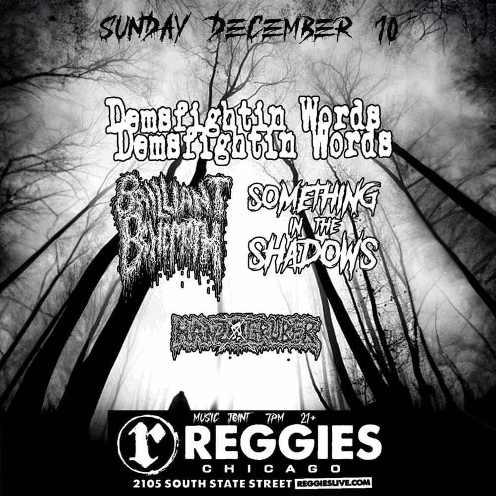 DEMSFIGHTINWORDS, BRILLIANT BEHEMOTH, SOMETHING IN THE SHADOWS ...